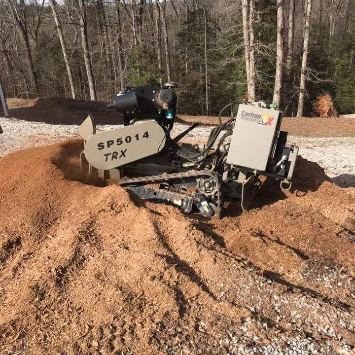 Stump Grinding in Greenville | Free Quotes | Renegade Stump Removal & Tree